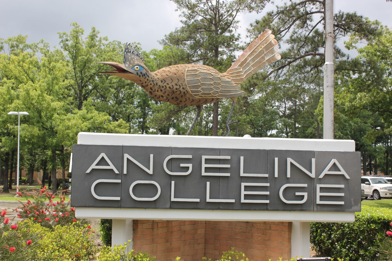 Roadrunner Mascot at Angelina College to Receive Exciting Updates ...